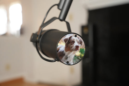 Custom Mic Plate for Shure SM7B and SM7dB – MicPlates